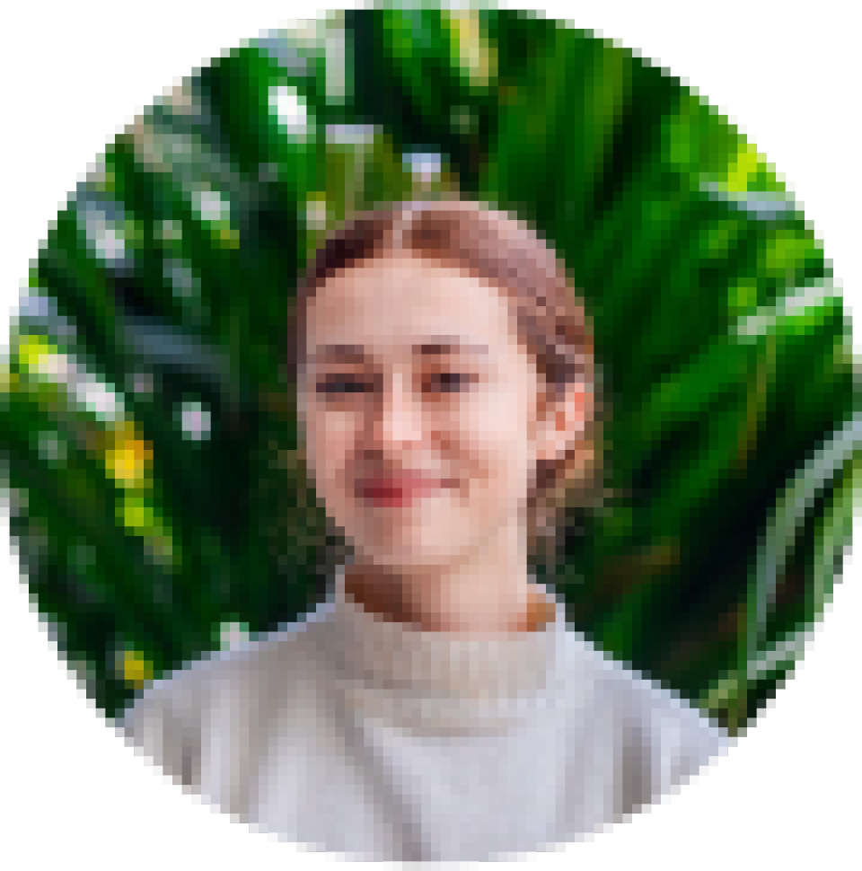 ANZ Summer Internship Program | ANZ