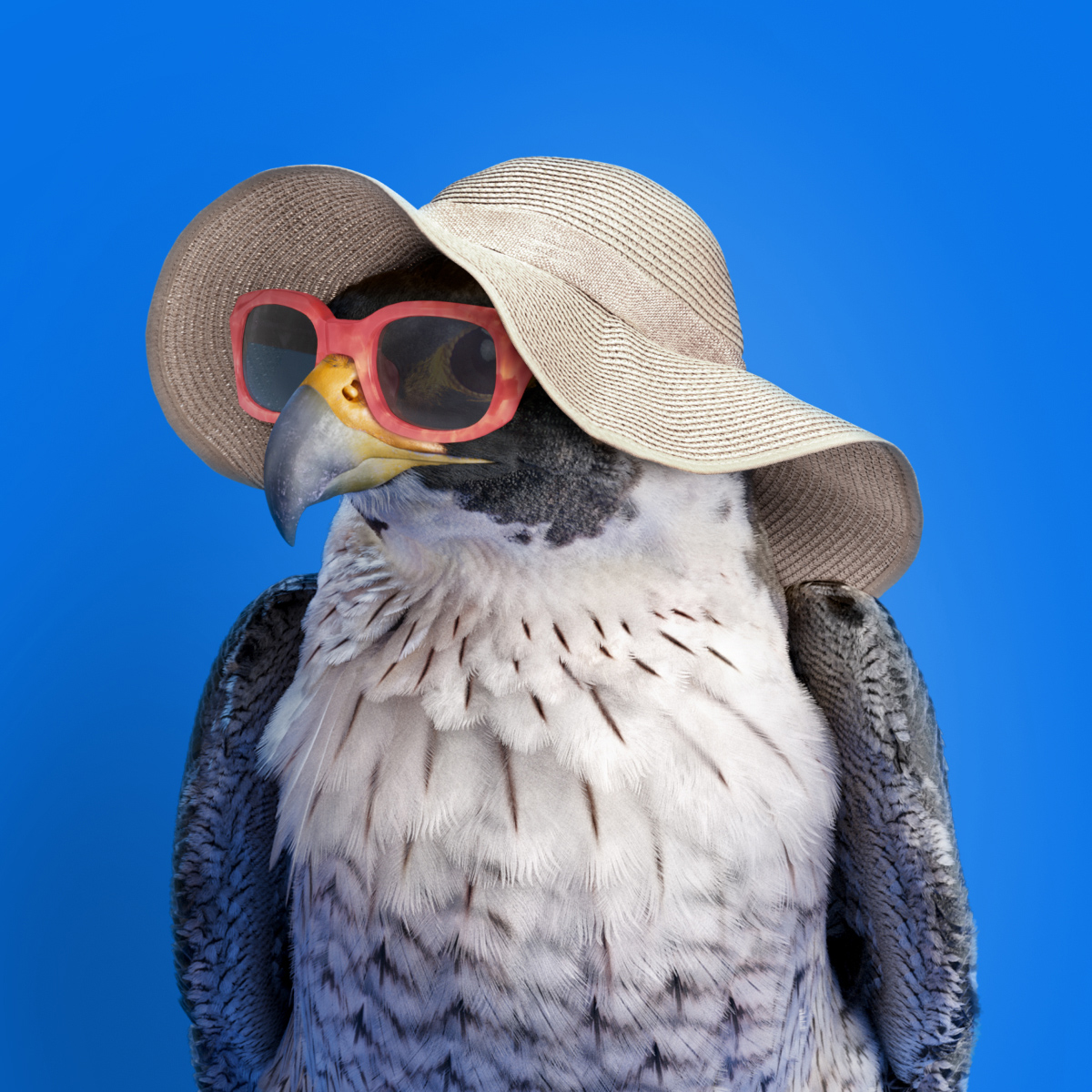 Credit card security | ANZ