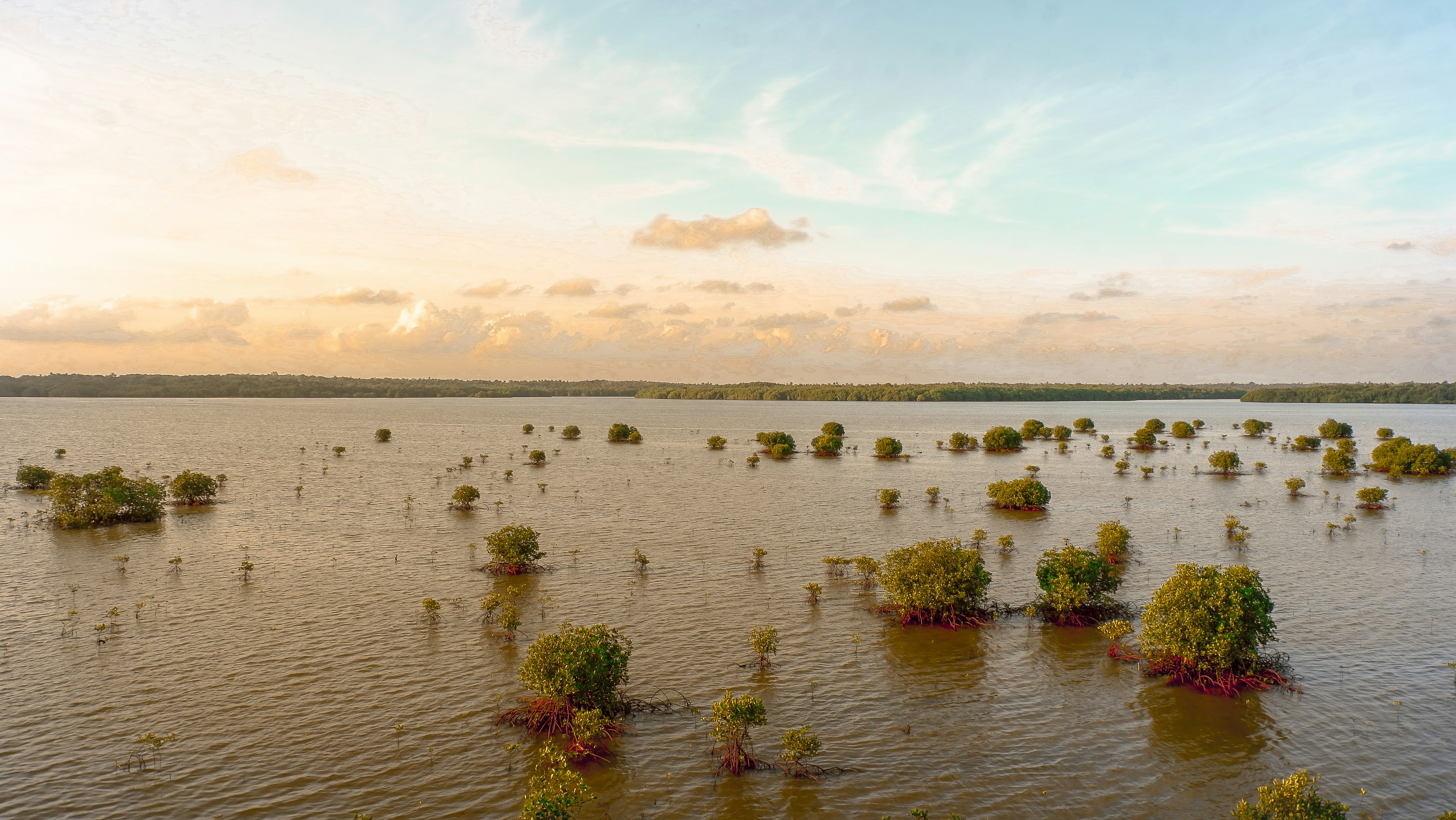 ANZ provides disaster relief support for customers impacted by floods ...
